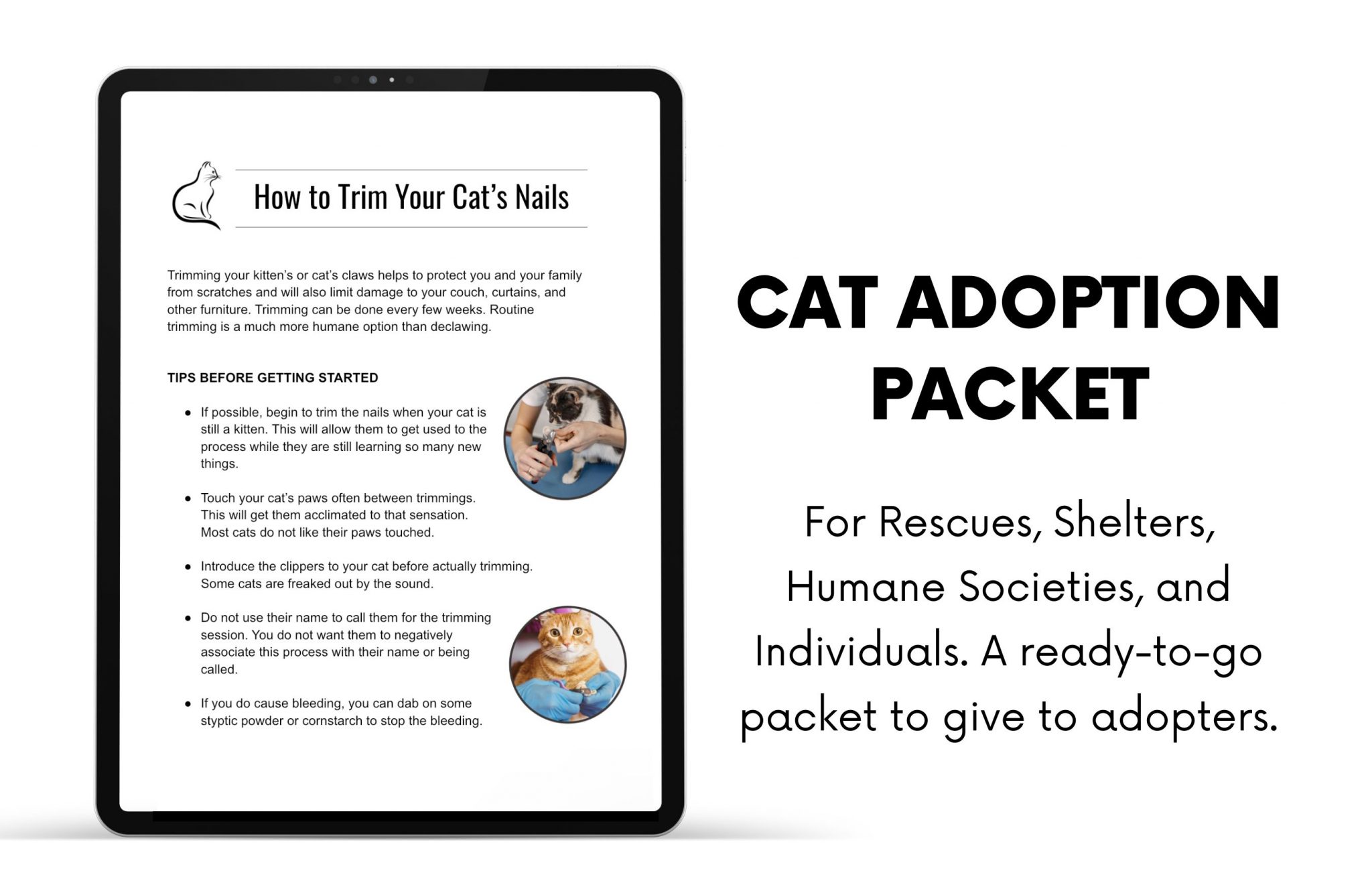 Cat Adoption Packet for Shelters, Humane Societies, and Rescues ...